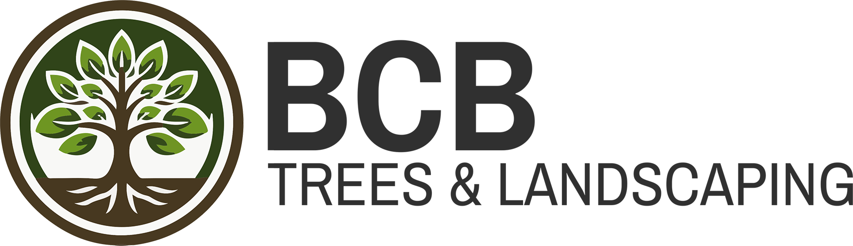 Evergreen Trees in Valley NE | Evergreen Trees for Sale